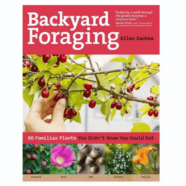 Foraging, Field Guides + Nature Studies - Wild Roots Apothecary