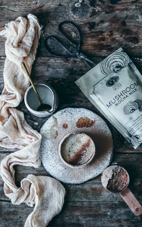 MUSHROOM MOCHA MILK | Longevity Milk - Wild Roots Apothecary