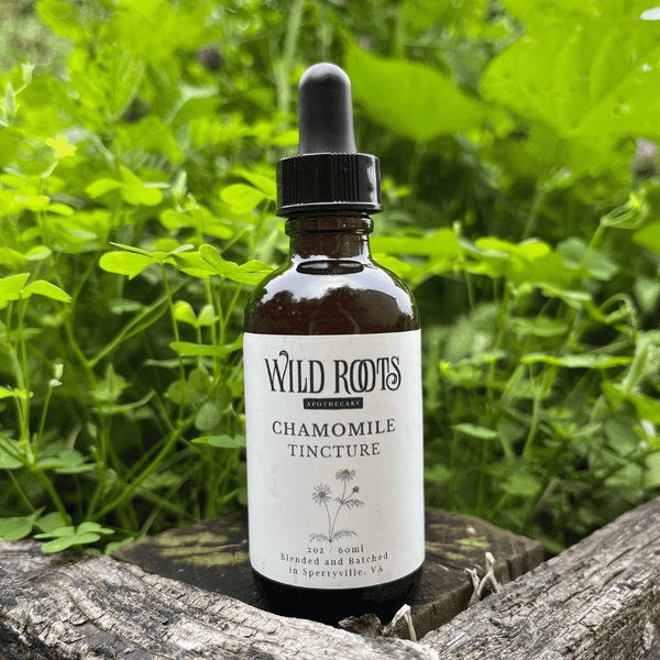 Chamomile Tincture - Wild Roots Apothecary