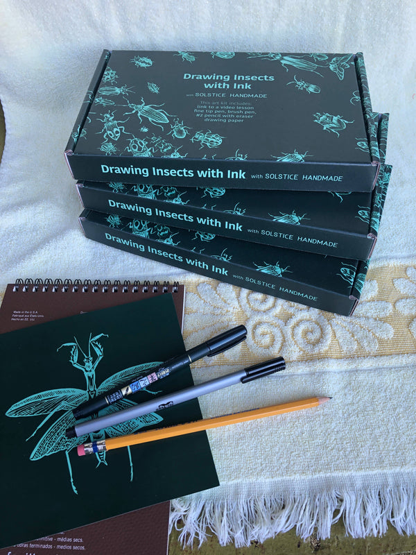 Drawing Insects with Ink- Art Kit with Video Lesson - Wild Roots Apothecary