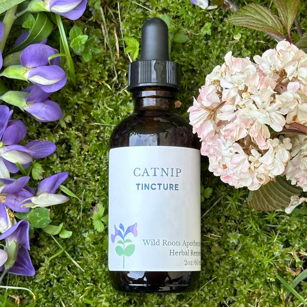 Catnip Tincture - Wild Roots Apothecary