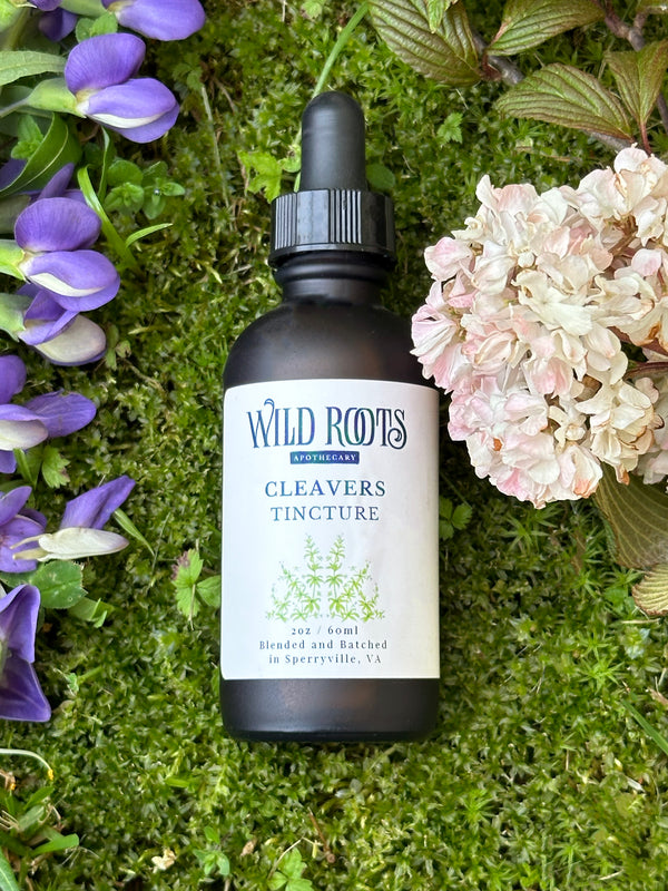 Cleavers Tincture - Wild Roots Apothecary