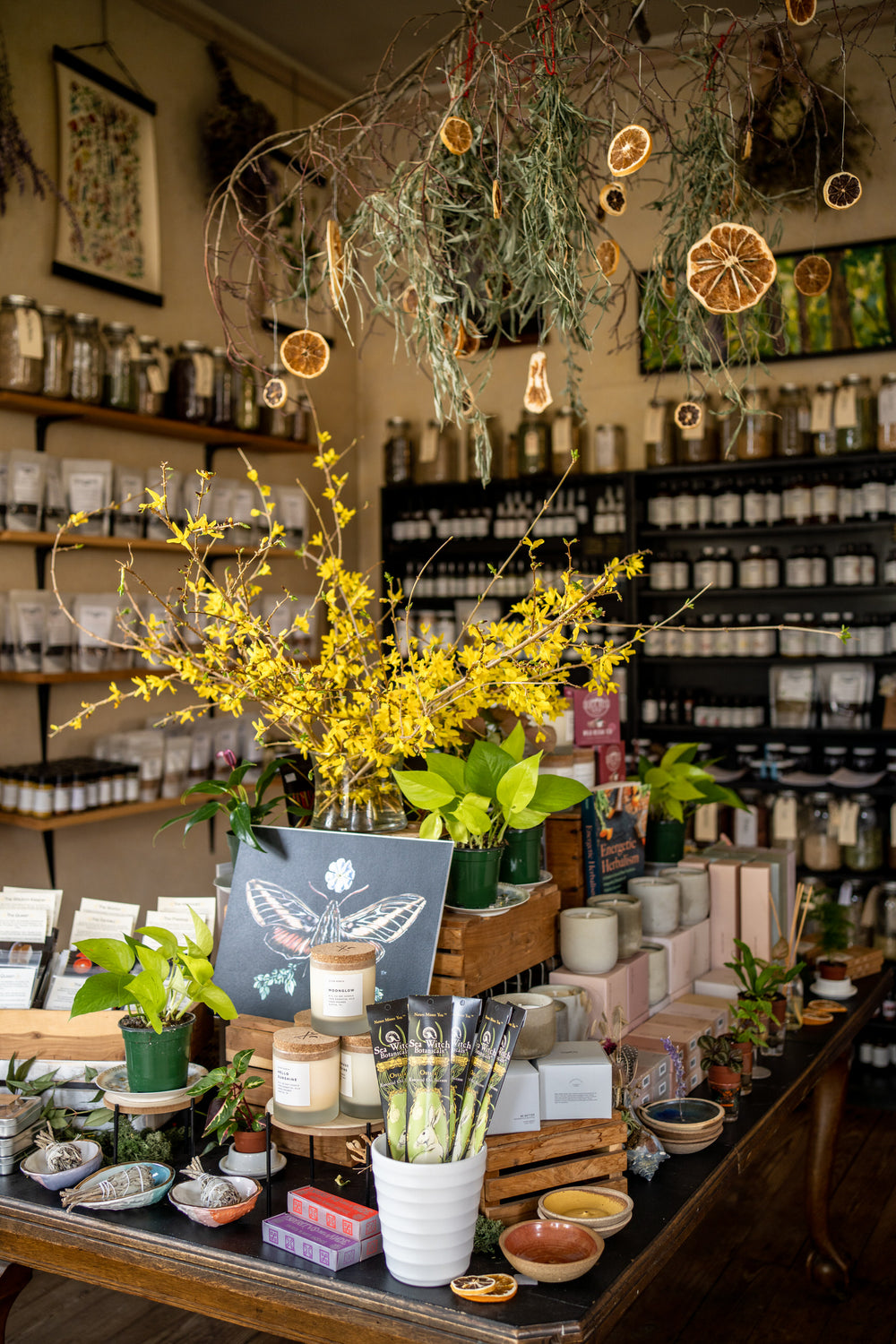 Wild Roots Apothecary Sperryville Virginia